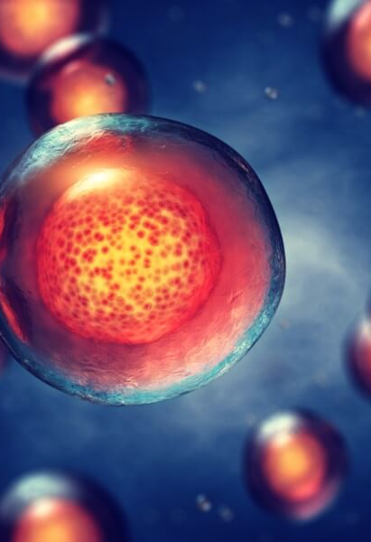 Stem Cell Research | MedAdvisor | Treatment Options, Patient Peer Groups