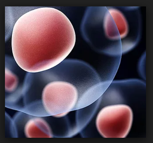 Houston Stem Cell Medical Center | Trusted Clinics | MedAdvisor.co
